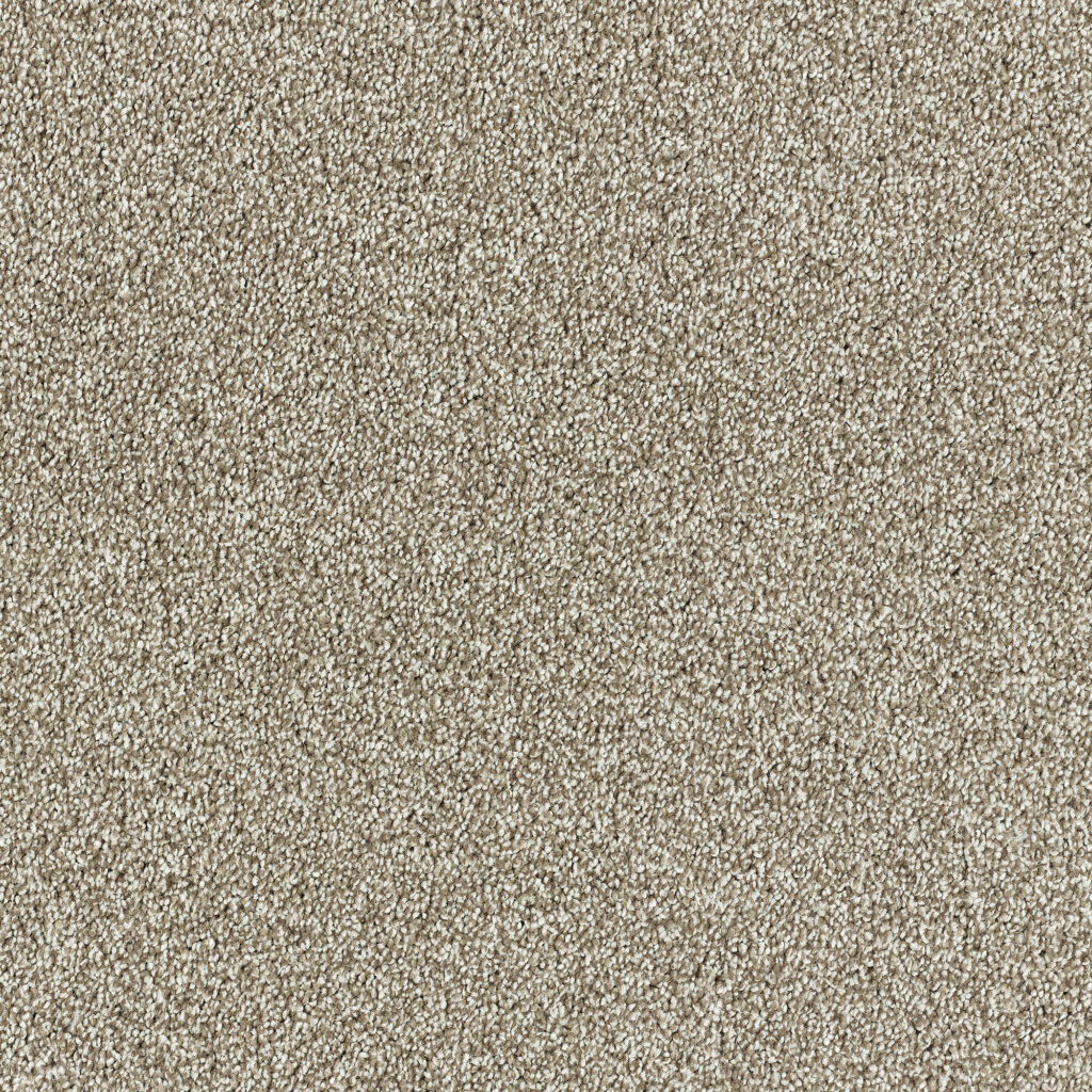 Bleach Cleanable Carpet Bilston | Trendy Carpet